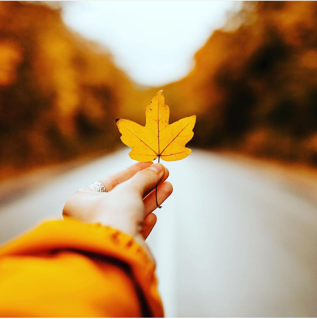 Happy Freckles by Carita – Happy Freckles CO